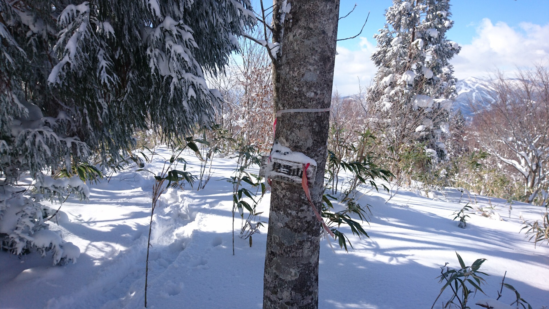 ひるがの：見当山-2019-01-27 / TATAさんの見当山の活動データ | YAMAP / ヤマップ