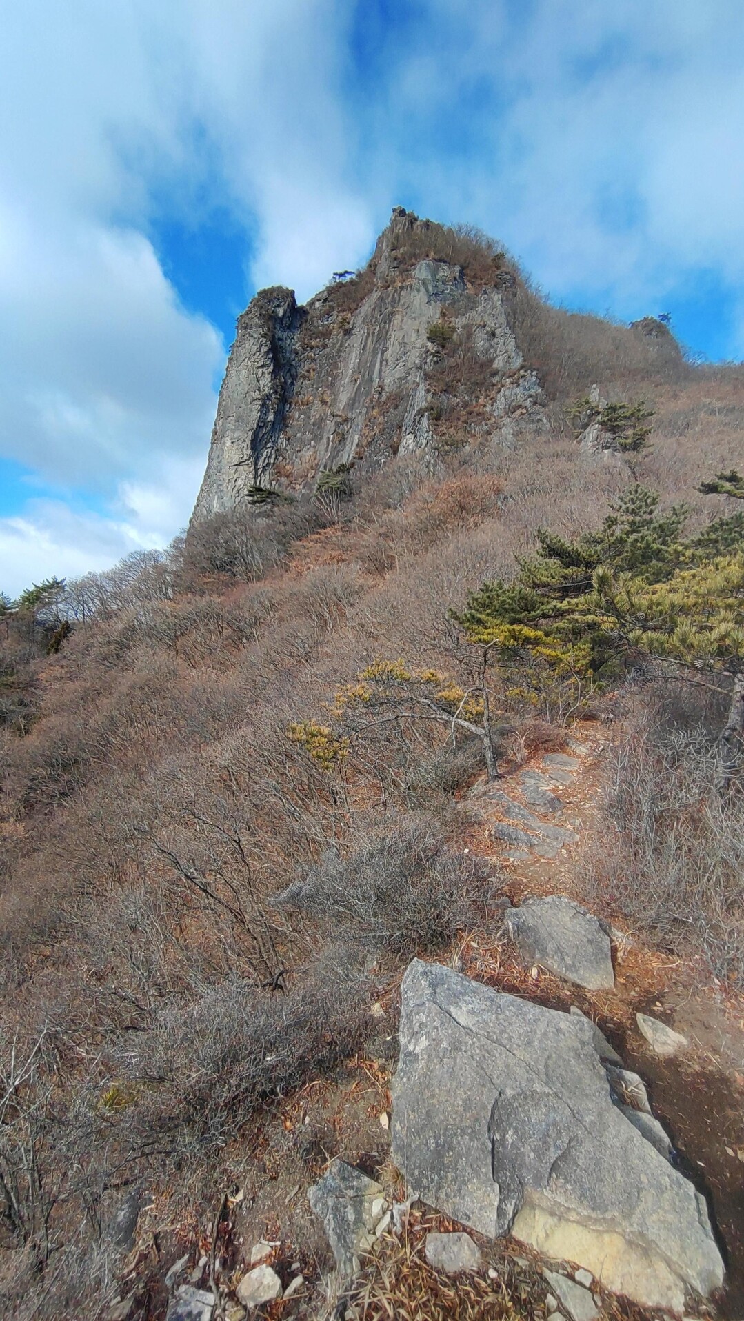 子持山往復 / Y-JJさんの榛名山・天狗山・天目山の活動データ | YAMAP / ヤマップ