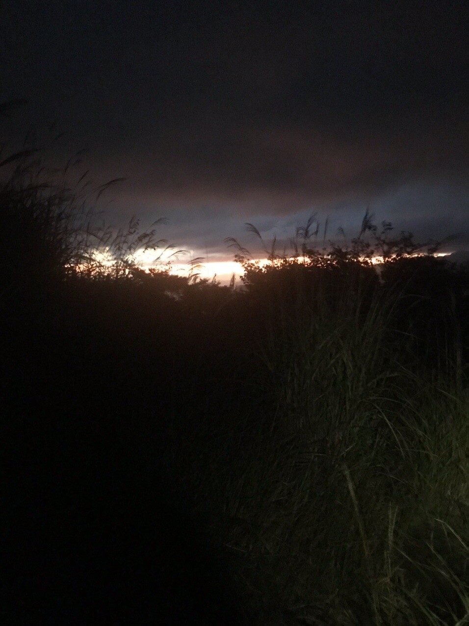 Re：Re：Re：御来光@高見山 いよいよその時が来たのか⁉️ / 良 ⛩ OKDさんの高見山・黒石山・天狗山の活動データ | YAMAP / ヤマップ