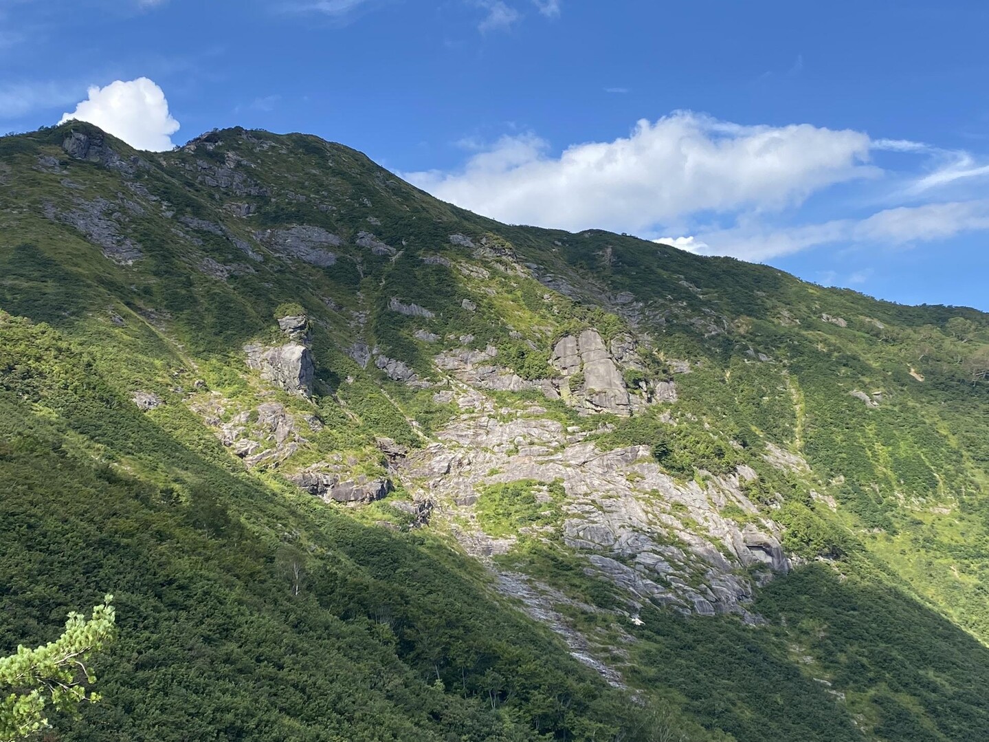 松ノ木沢ノ頭 / yuka🌼さんの朝日岳の活動データ | YAMAP / ヤマップ