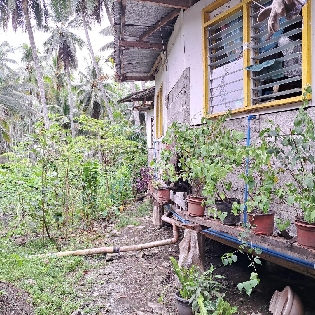 フィリピンに真夜中に着きました。サバイバ... / Bettyさんのモーメント | YAMAP / ヤマップ