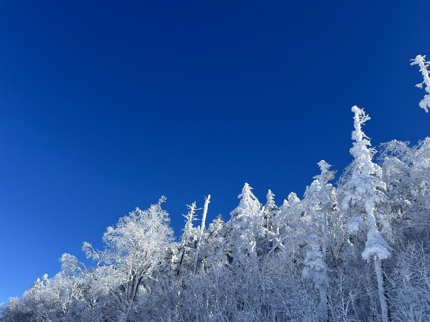 寺子屋、一の瀬スキー場、東館山神社へお参... / kazuさんのモーメント | YAMAP / ヤマップ
