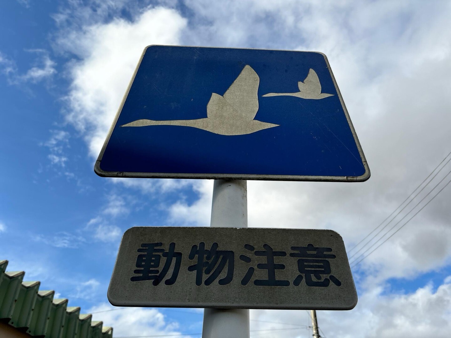 内沼🦢🦆 / cinnamonさんの七ツ森の活動データ | YAMAP / ヤマップ