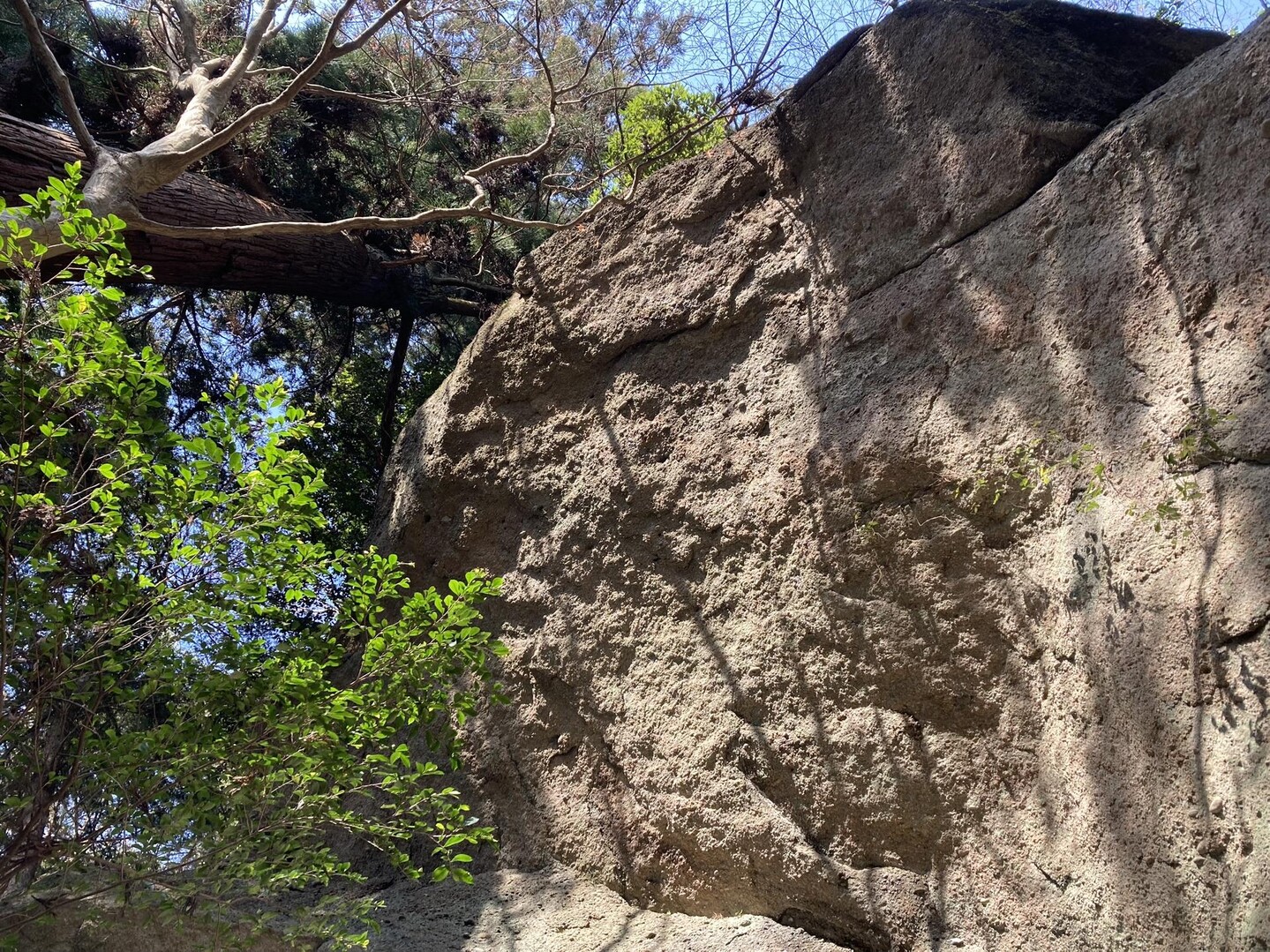 石老山・高塚山・東雲山・大明神(大明神山) / Ok-836さんの石老山・ 石砂山の活動データ | YAMAP / ヤマップ