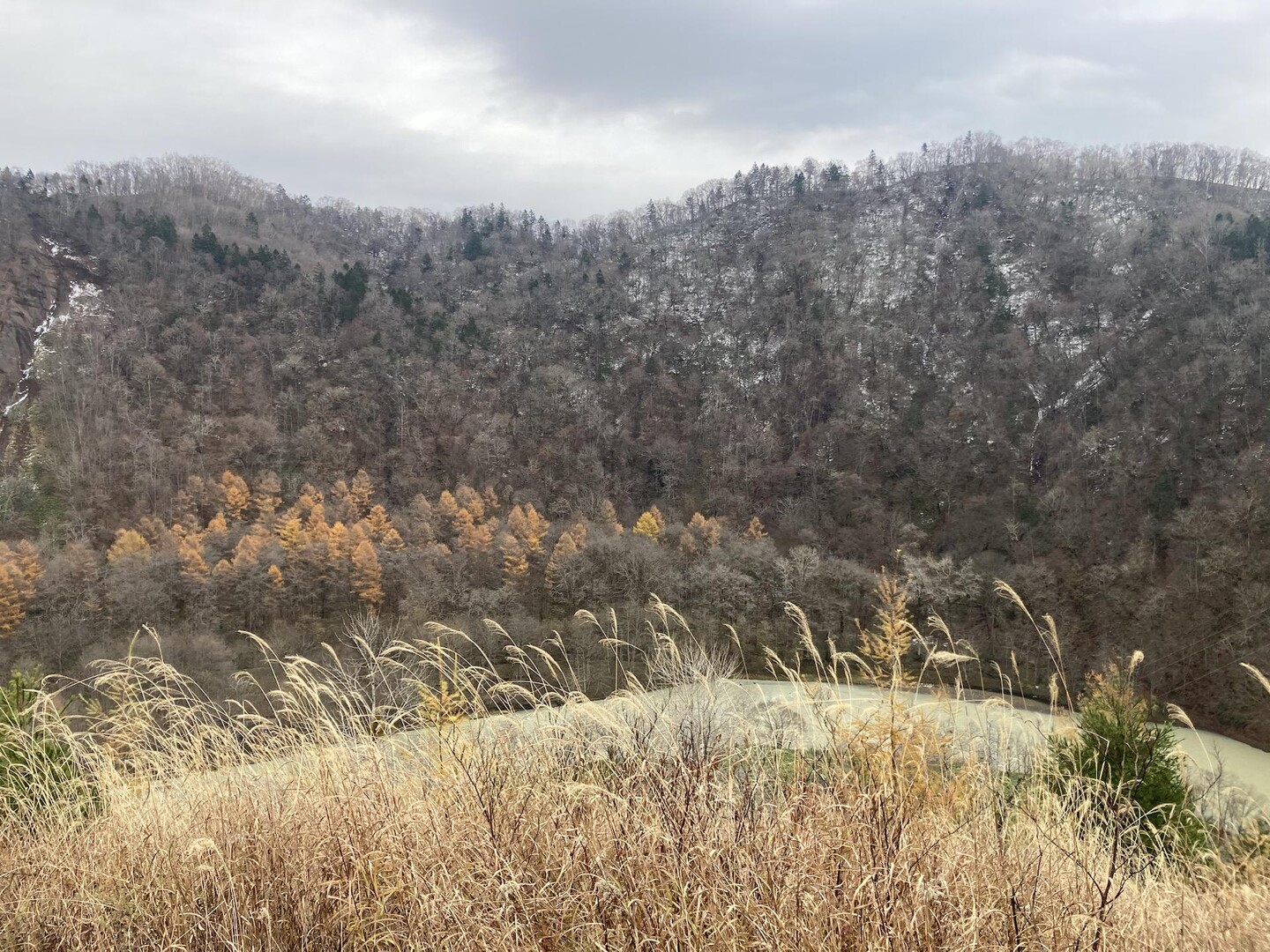 清水沢ズリ山 / yuyu さんの冷水山の活動データ | YAMAP / ヤマップ