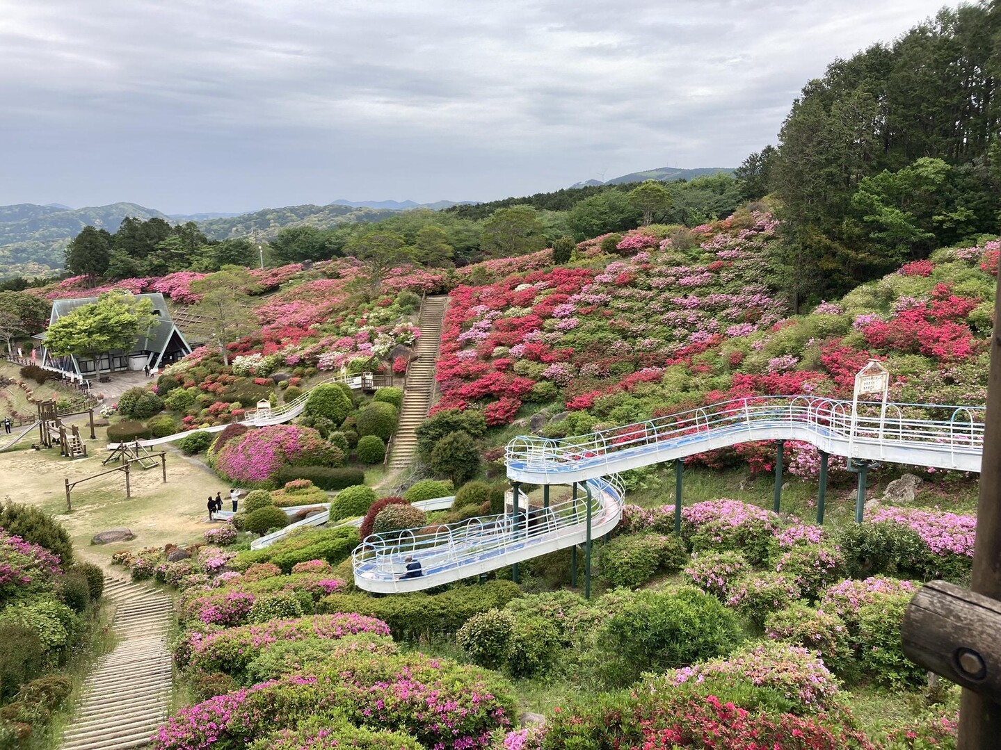 長串山 / maryさんの冷水岳の活動データ | YAMAP / ヤマップ