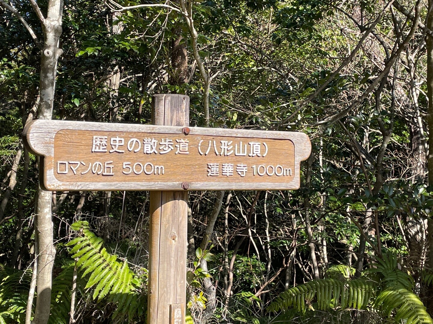 八形山 / TKC90さんの本宮山・高塚山の活動データ | YAMAP / ヤマップ