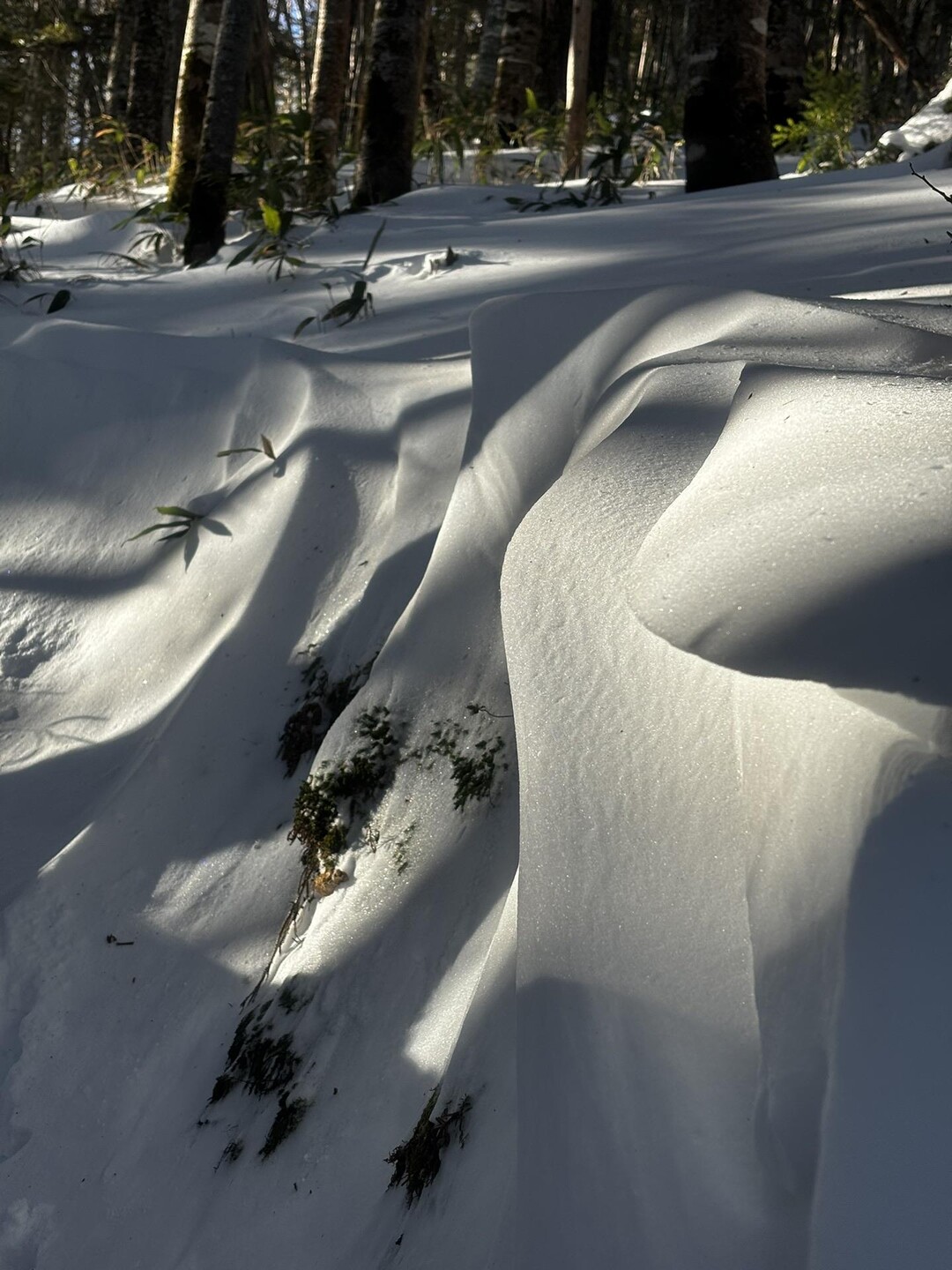 将棊頭…ピークハント🤩🎶 / kk_koro♌️さんの木曽駒ヶ岳・空木岳・越百山の活動データ | YAMAP / ヤマップ