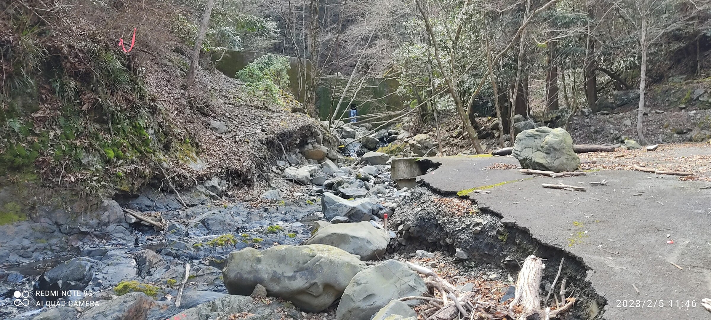 潰滅した荒廃の亡びの道を往く〜仰烏帽子山 椎葉谷登山口から800m地点で断念す / 仰烏帽子山の写真28枚目 / 土石流が左へ流れて林道を崩し流した、感じ | YAMAP / ヤマップ