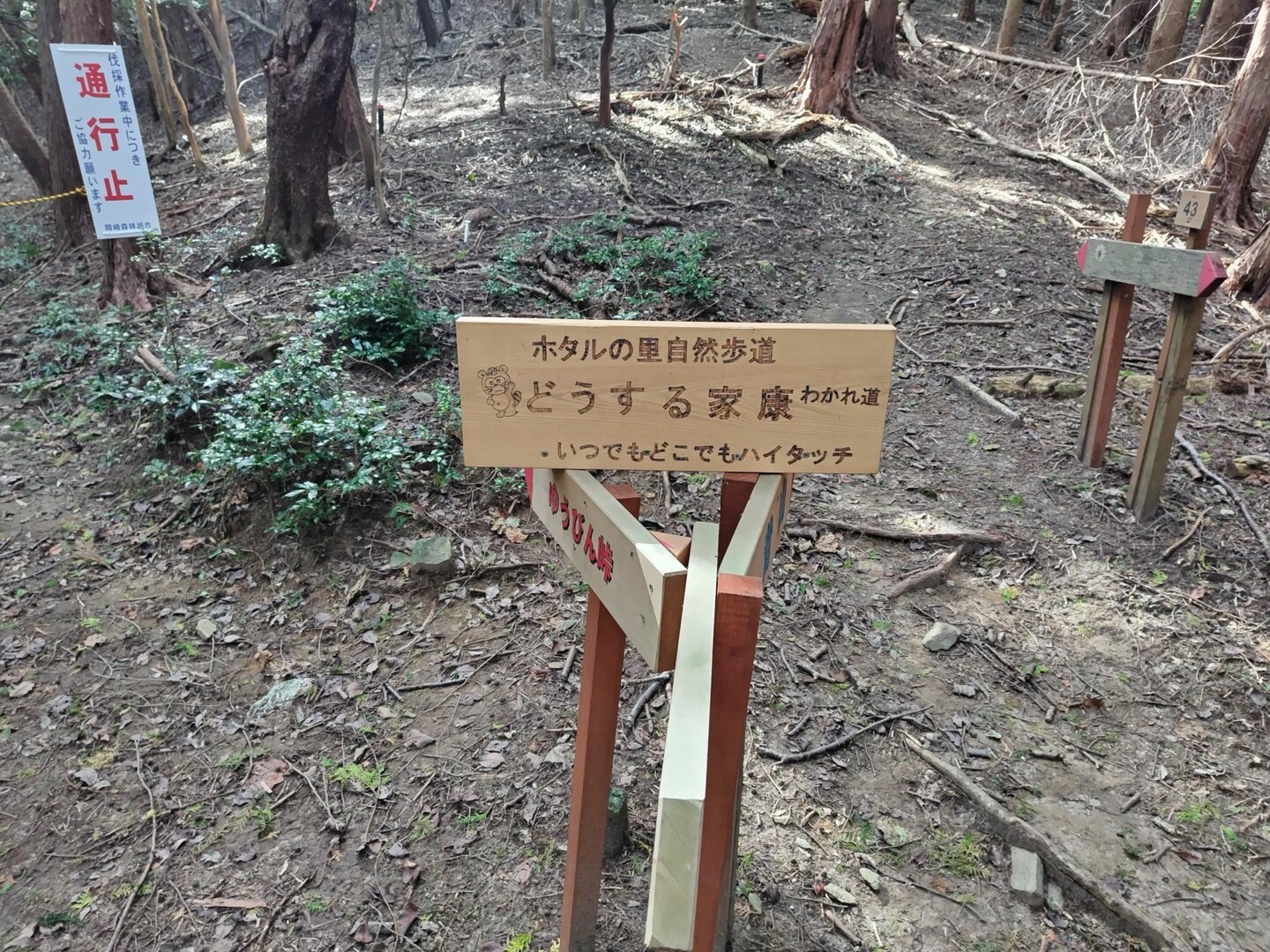 290座目 京ヶ峯・南山・自然山・鳥川山・笹百合山・古里山・ホタル山・豊山・動物山・元気山・昔山・平和山・... / YHさんの額堂山・水晶山・京ヶ峯の活動データ | YAMAP / ヤマップ