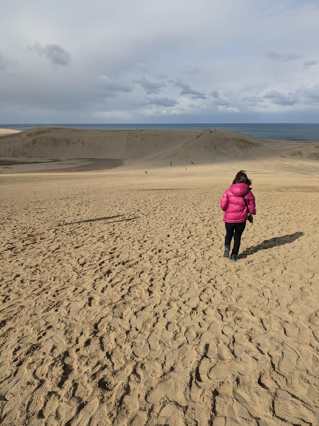 R6.11.28 竹田城跡下山後は山陰道... / yuさんのモーメント | YAMAP / ヤマップ