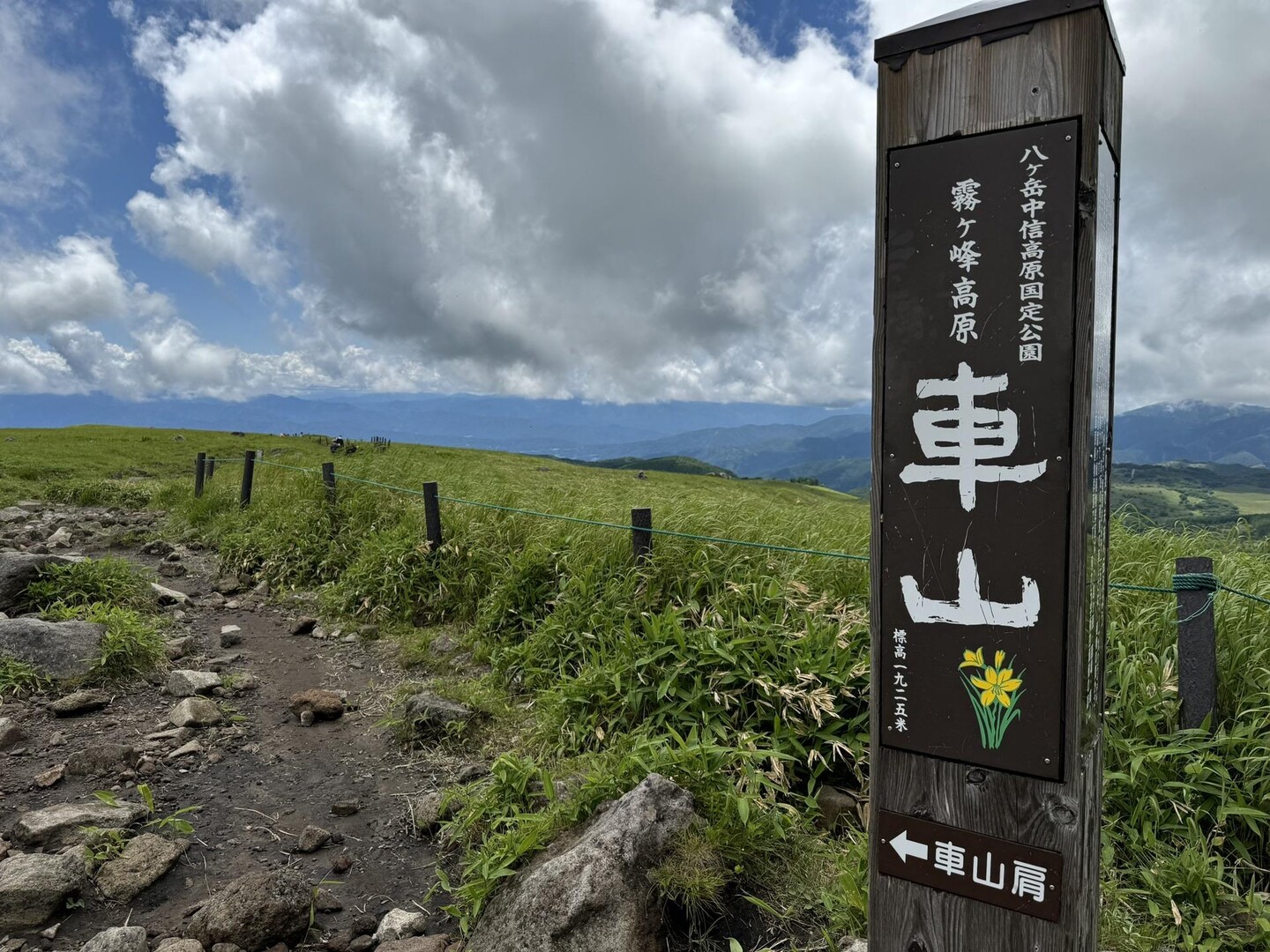 車山⛰ニッコウキスゲ / Nmamaさんの霧ヶ峰・車山・大笹峰の活動データ | YAMAP / ヤマップ