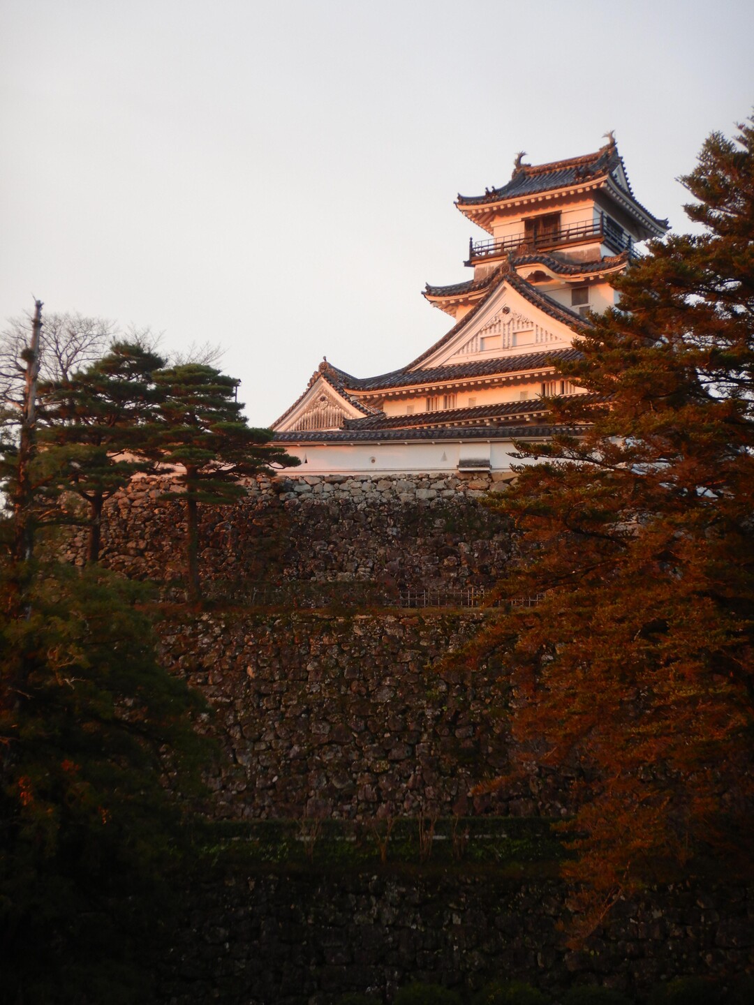 高知（観光） / kol-hiraさんの高知市の活動データ | YAMAP / ヤマップ