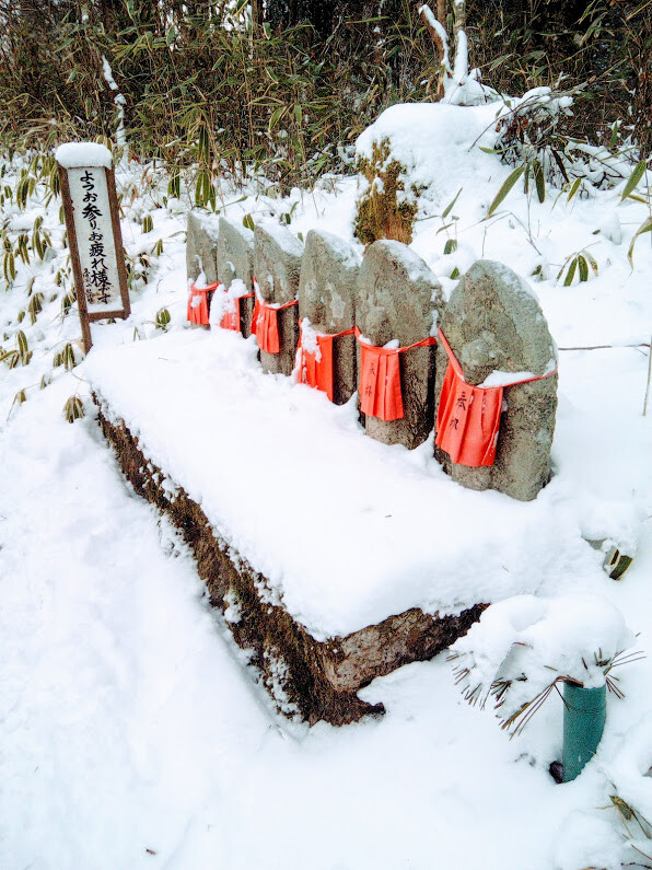 金剛山 ツツジオ谷～高畑谷～頂上～千早本道 / しばりーさんの金剛山・二上山・大和葛城山の活動日記 | YAMAP / ヤマップ