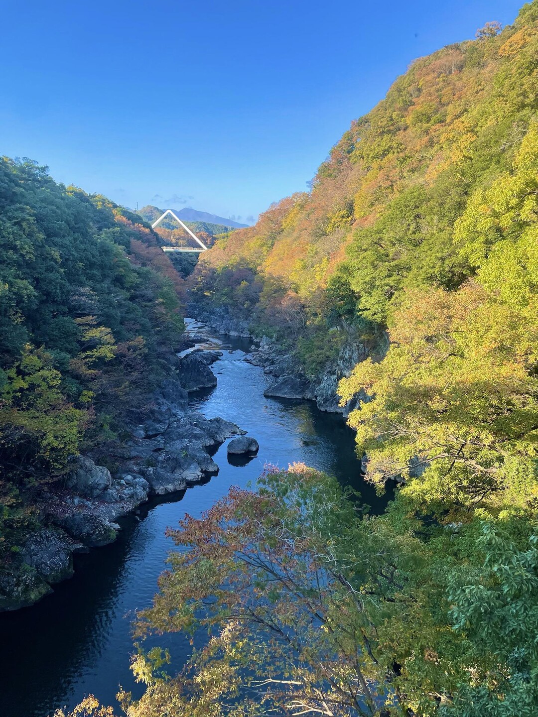 今日の高津戸峡はこんな感じ🎶 仕事で移... / mmmさんのモーメント | YAMAP / ヤマップ