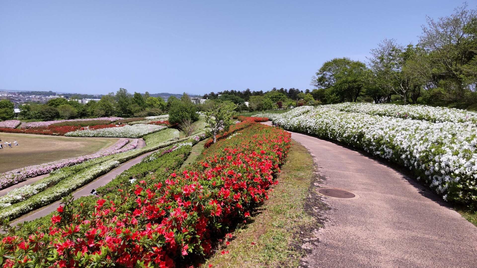2022.04.28(木) 11:59 / たこやきさんのモーメント | YAMAP / ヤマップ