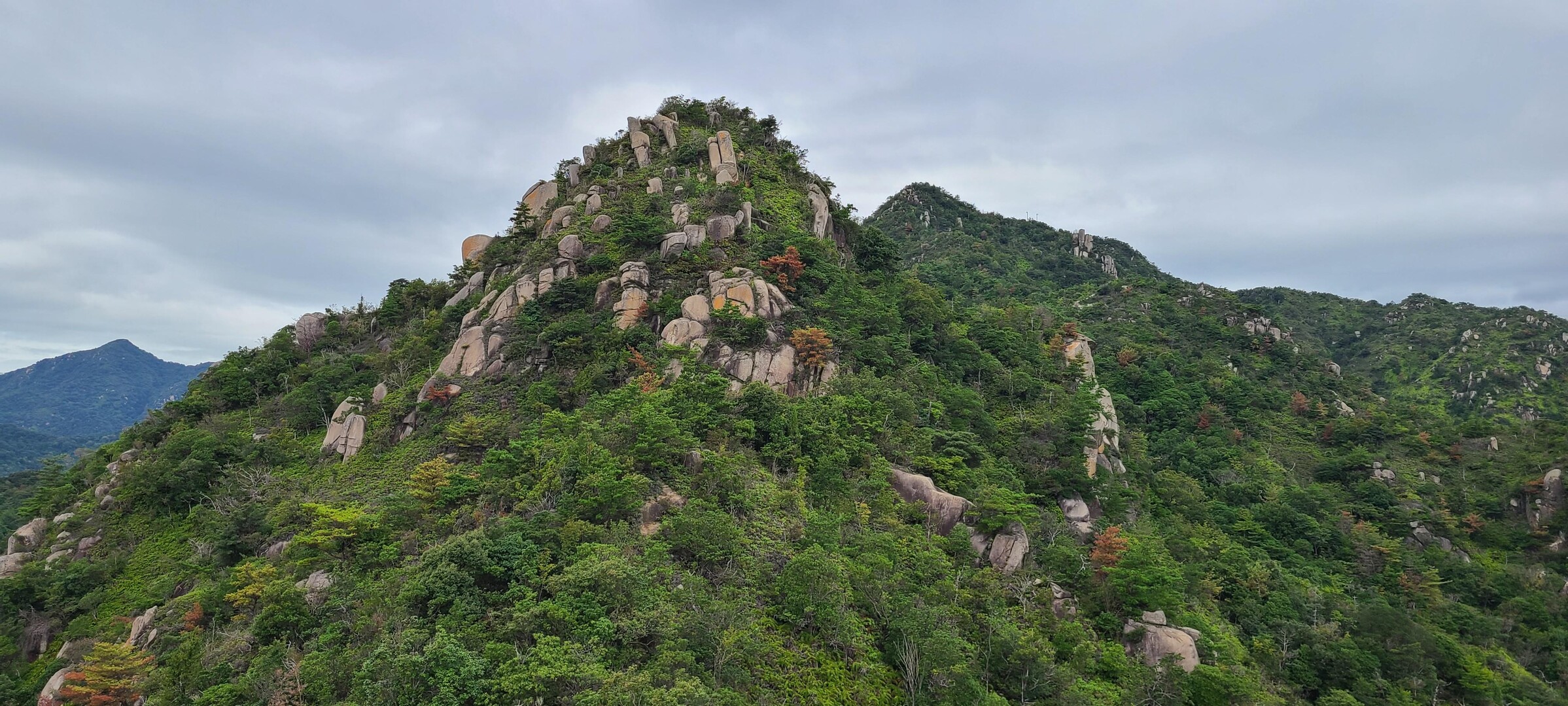 西目山 / satochan🥾さんの右田ヶ岳・西目山・楞厳寺山の活動データ | YAMAP / ヤマップ