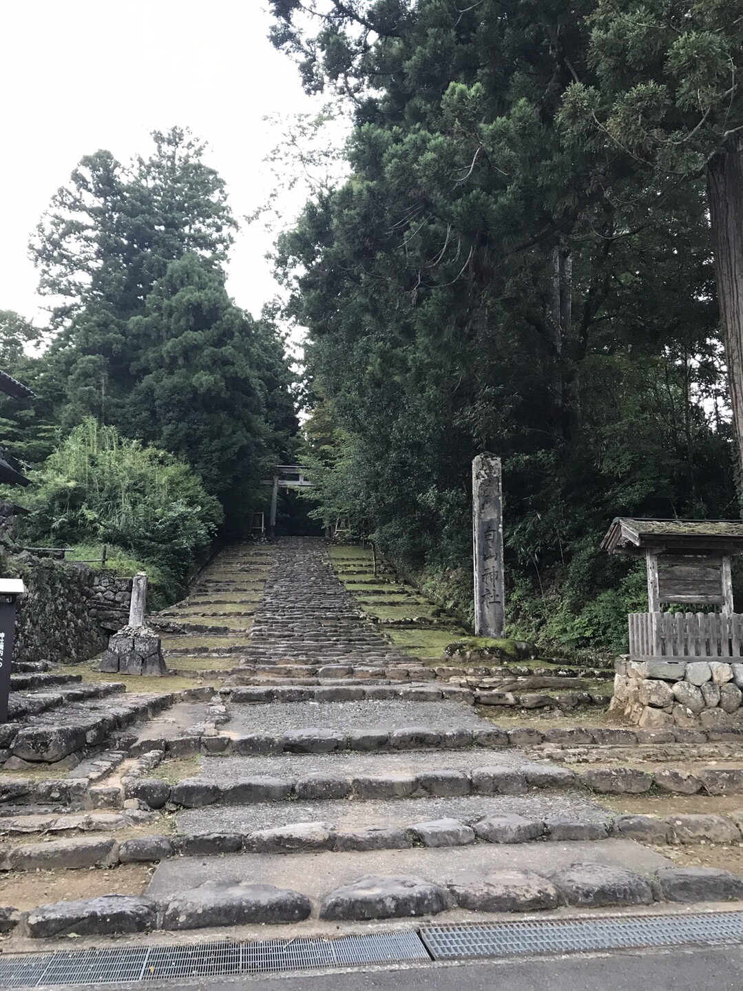 法恩寺山-2019-09-07 / yamakazuさんの経ヶ岳・法恩寺山の活動データ | YAMAP / ヤマップ