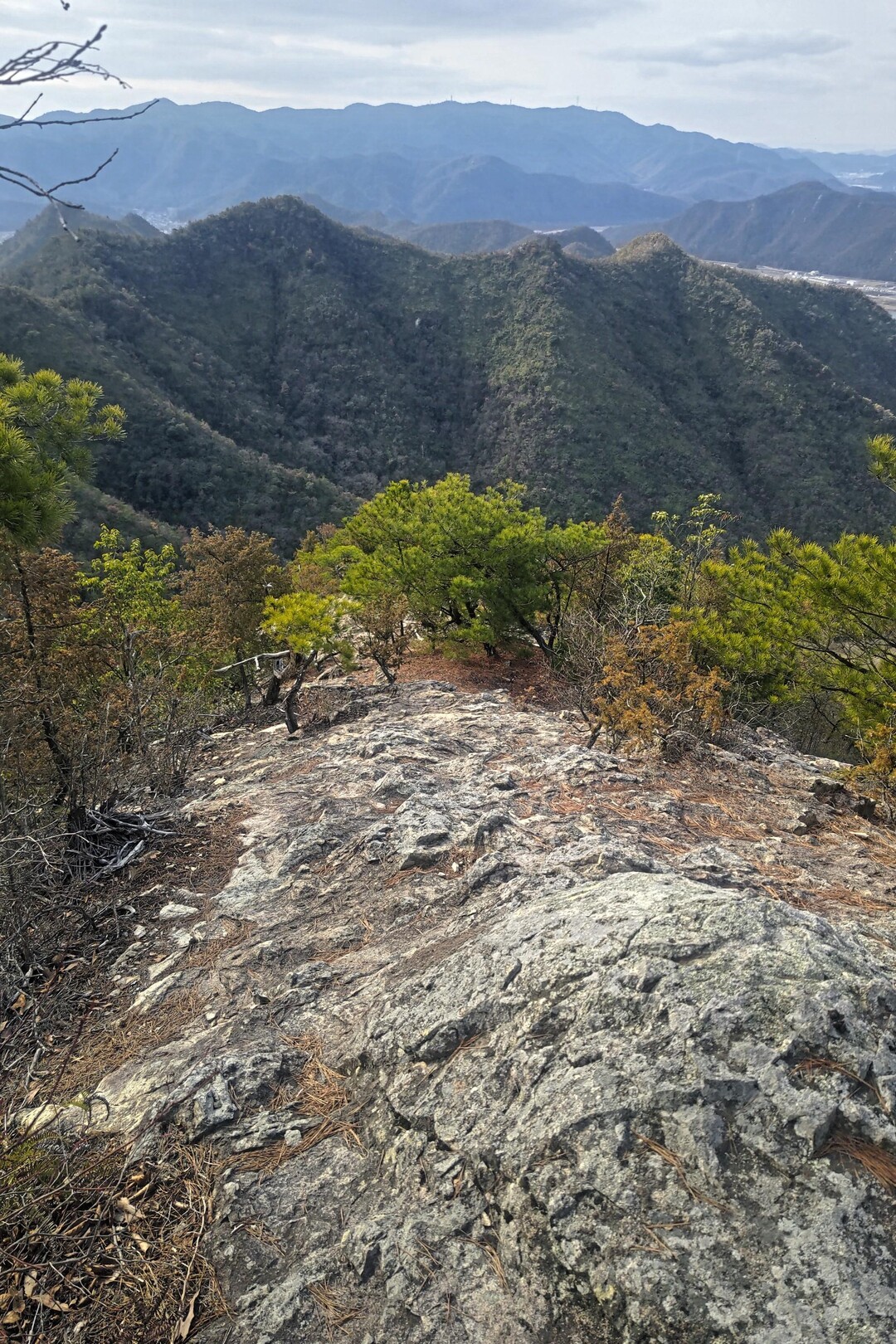 DSIさんの投稿したフィールドメモ | YAMAP / ヤマップ