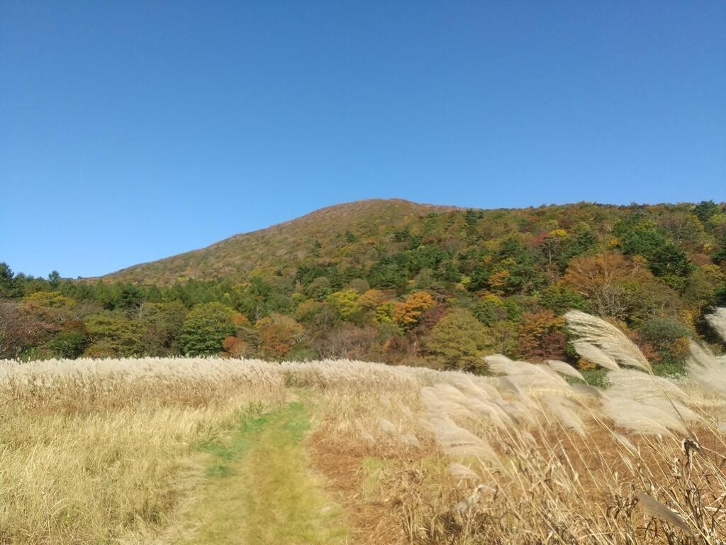 紅葉の泉ヶ岳 かもしかコース～水神コースを周回する。 / sinさんの船形山（御所山）・泉ヶ岳・蛇ヶ岳の活動データ | YAMAP / ヤマップ
