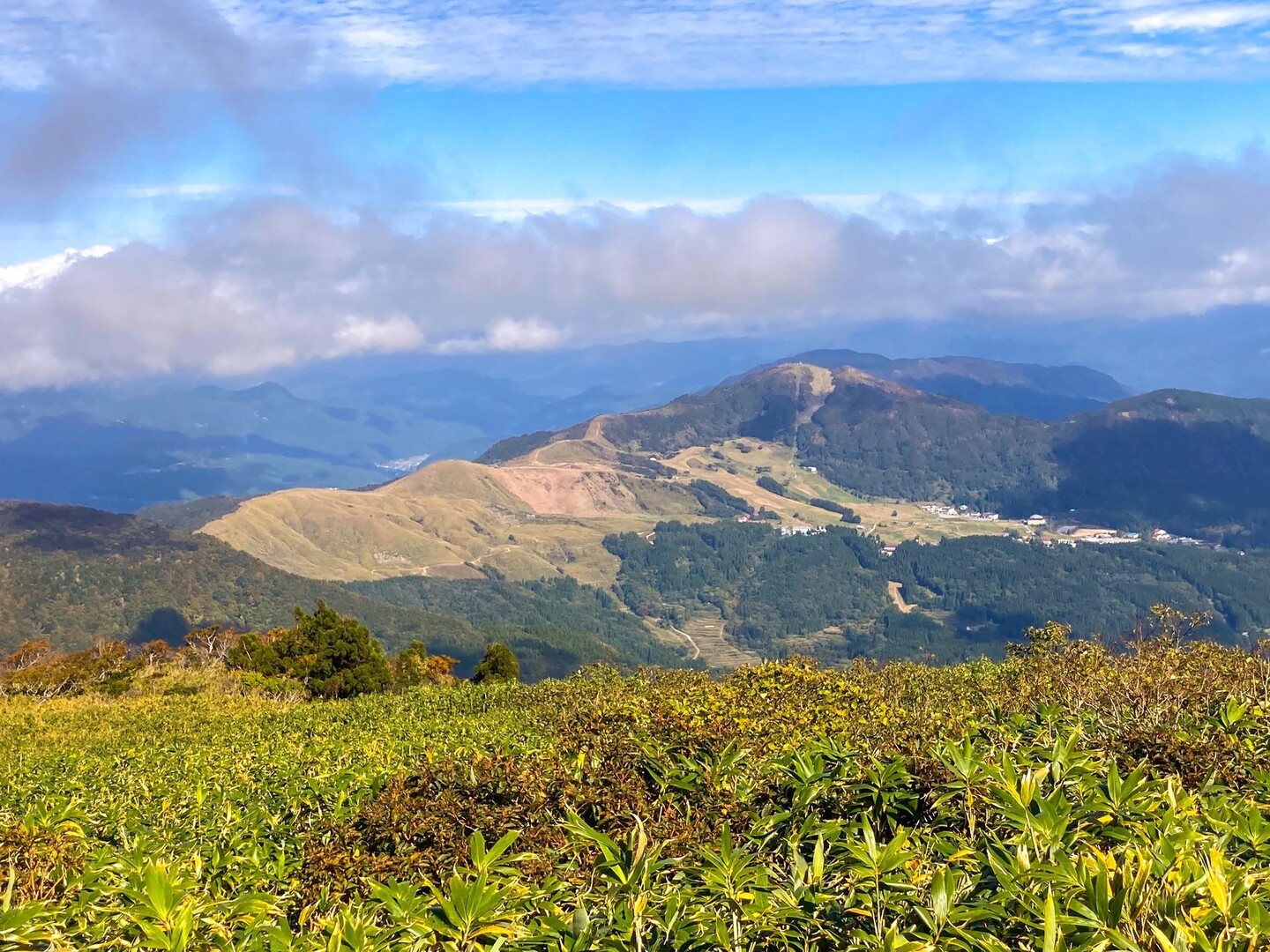 氷ノ山⭐️坂ノ谷コース往復 / okinjoさんの氷ノ山（須賀ノ山）・鉢伏山・瀞川山の活動データ | YAMAP / ヤマップ