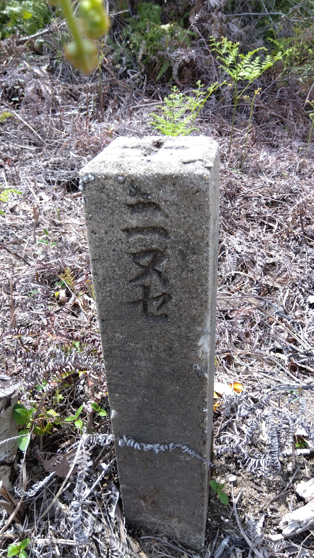 これは境界杭でしょうね！ ニヌセ ... / yaboo！さんのモーメント | YAMAP / ヤマップ