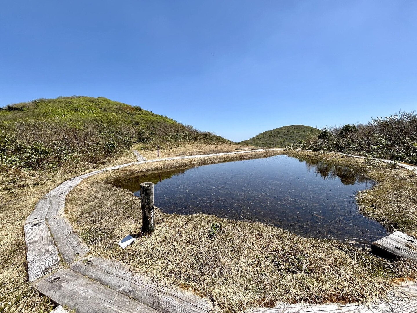 お花づくしの葉山に感動🤗 / w823hさんの葉山の活動データ | YAMAP / ヤマップ