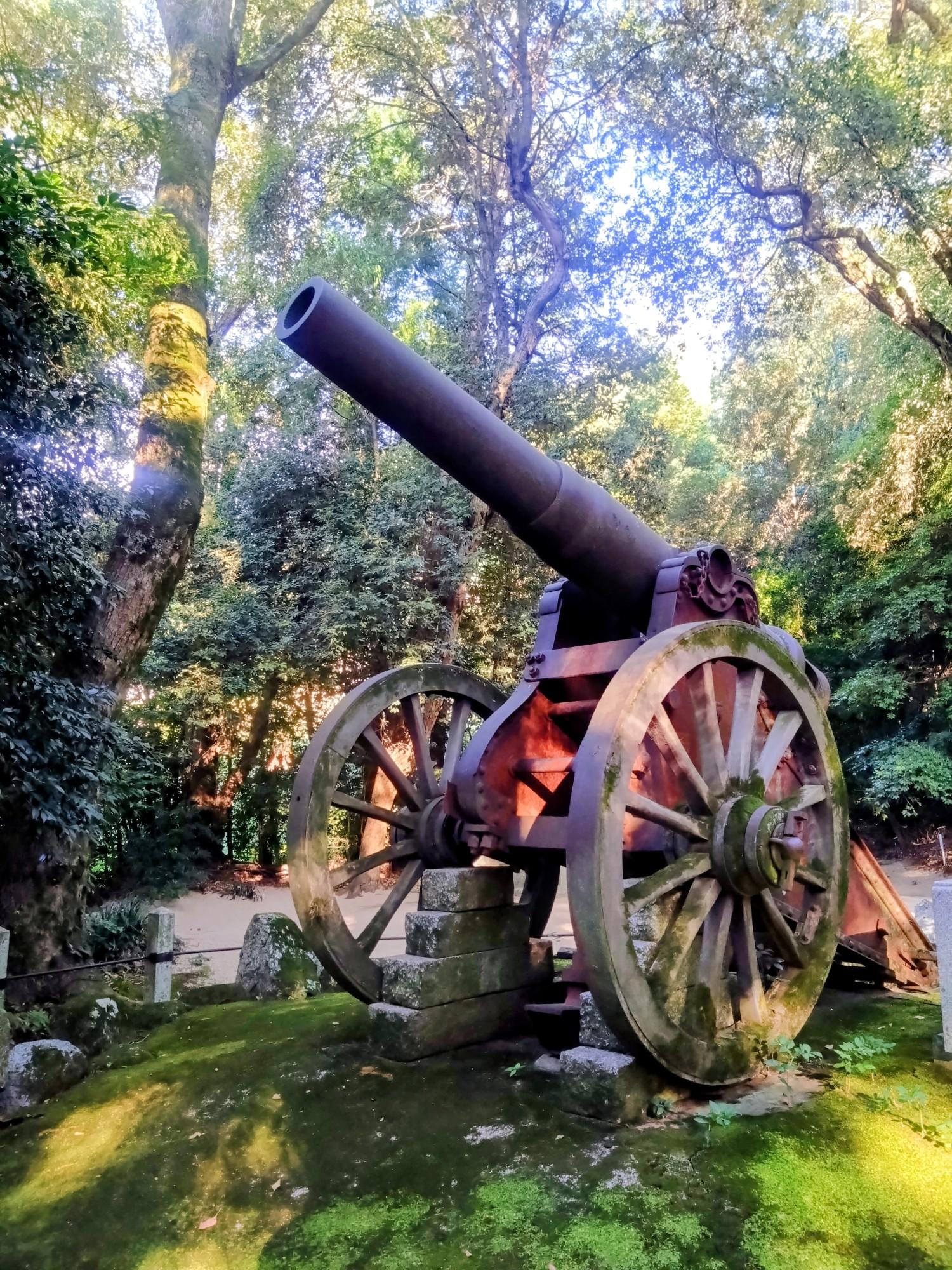 ダイトレの麓トレイル🏃‍♀️ / nazooさんの金剛山・二上山・大和葛城山の活動データ | YAMAP / ヤマップ