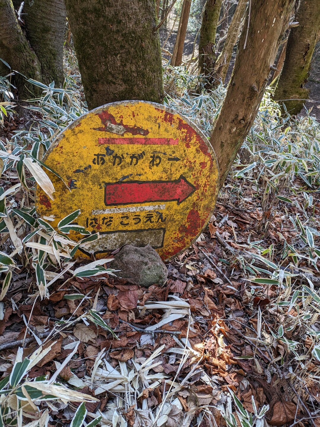 久住山・天狗ヶ城・中岳・稲星山 / 2525さんの九重山（久住山）・大船山・星生山の活動データ | YAMAP / ヤマップ