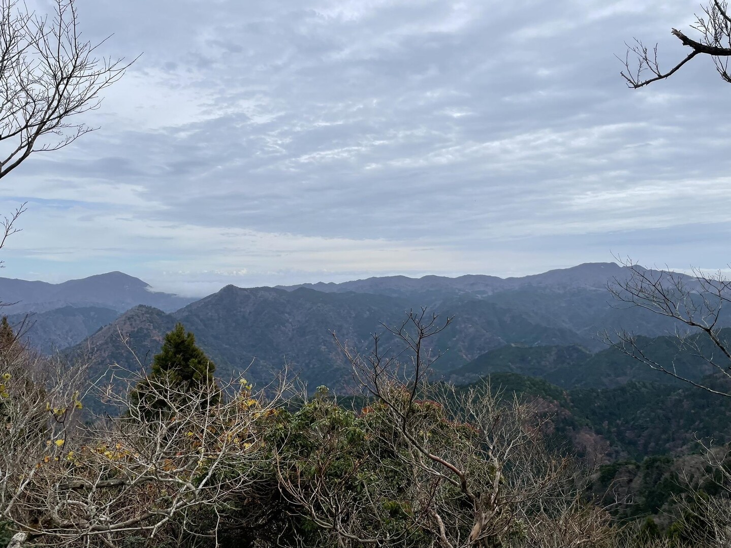 podoryさんの投稿したフィールドメモ | YAMAP / ヤマップ