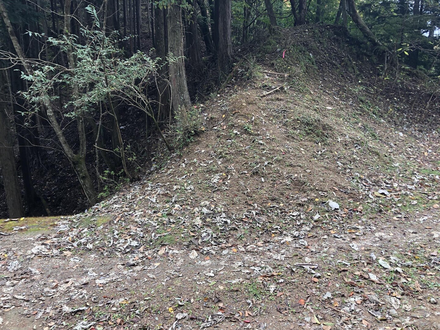 kiyoさんの投稿したフィールドメモ | YAMAP / ヤマップ