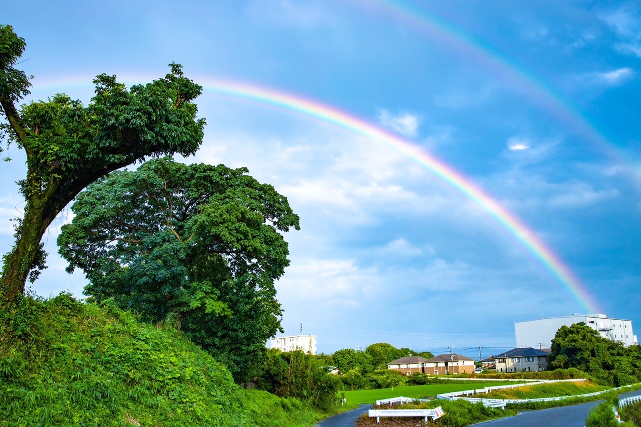 モーメントしてみました。 少しでも幸せ... / daisagan さんのモーメント | YAMAP / ヤマップ
