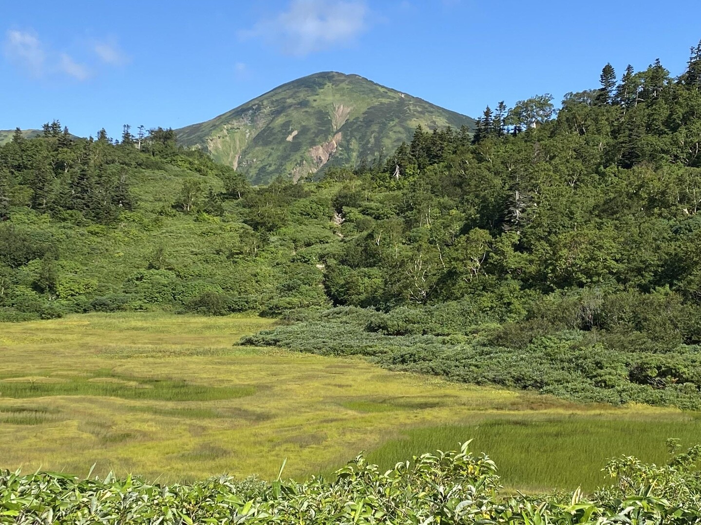 火打山 / woodsfanさんの妙高山・火打山の活動データ | YAMAP / ヤマップ
