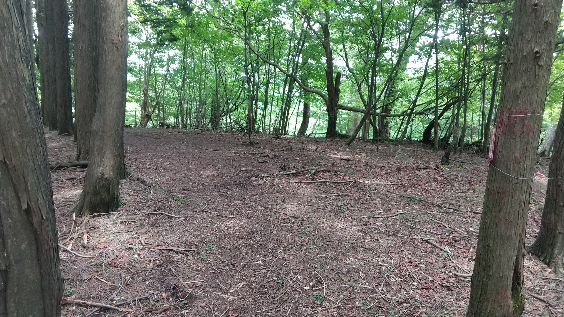 koiさんの投稿したフィールドメモ | YAMAP / ヤマップ