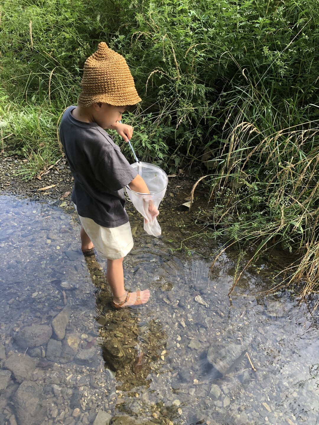 夏の前に梅雨のソトアソビ。 / Shin Gさんのモーメント | YAMAP / ヤマップ