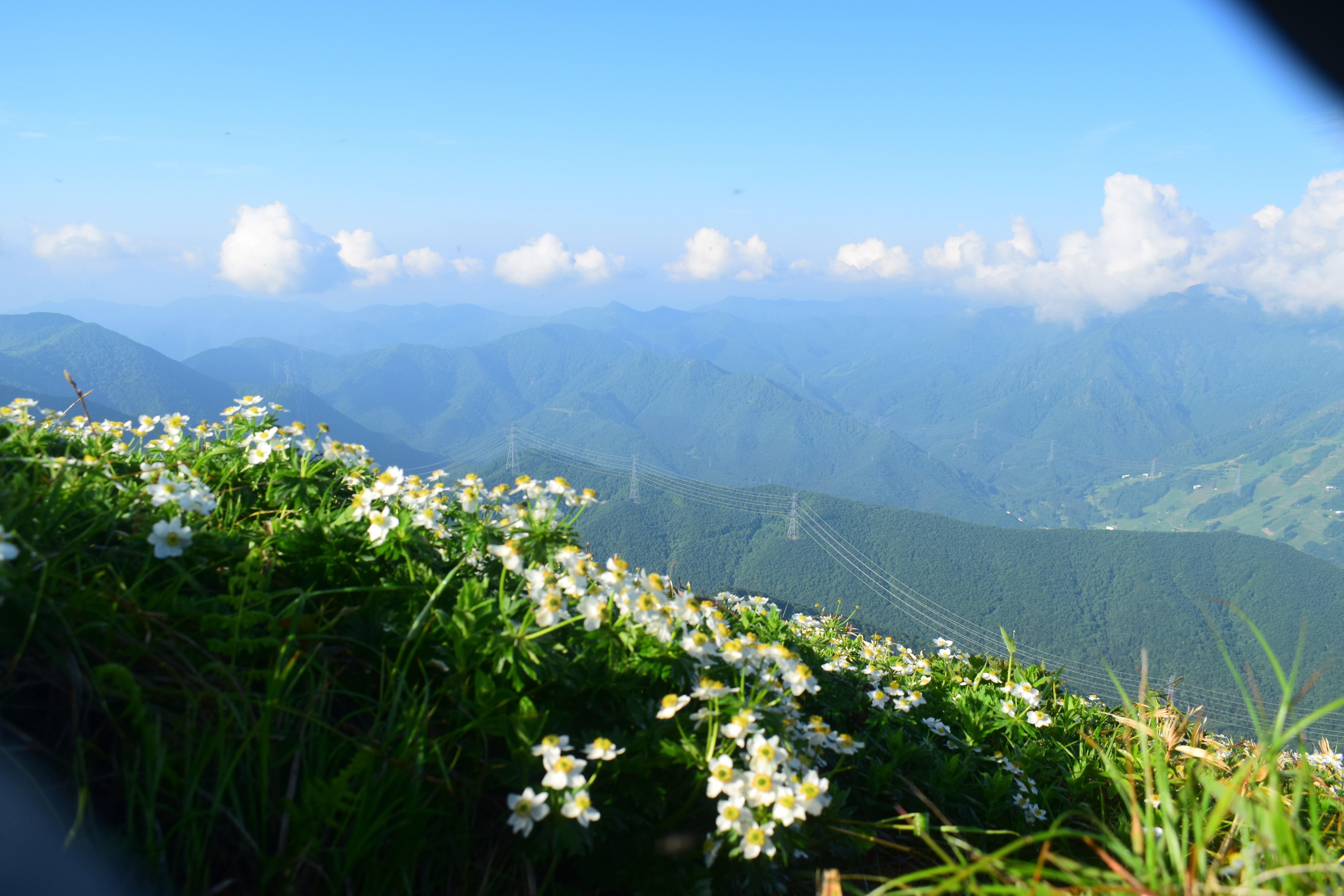 平標山 / nm25さんの仙ノ倉山・平標山・大源太山の活動データ | YAMAP / ヤマップ