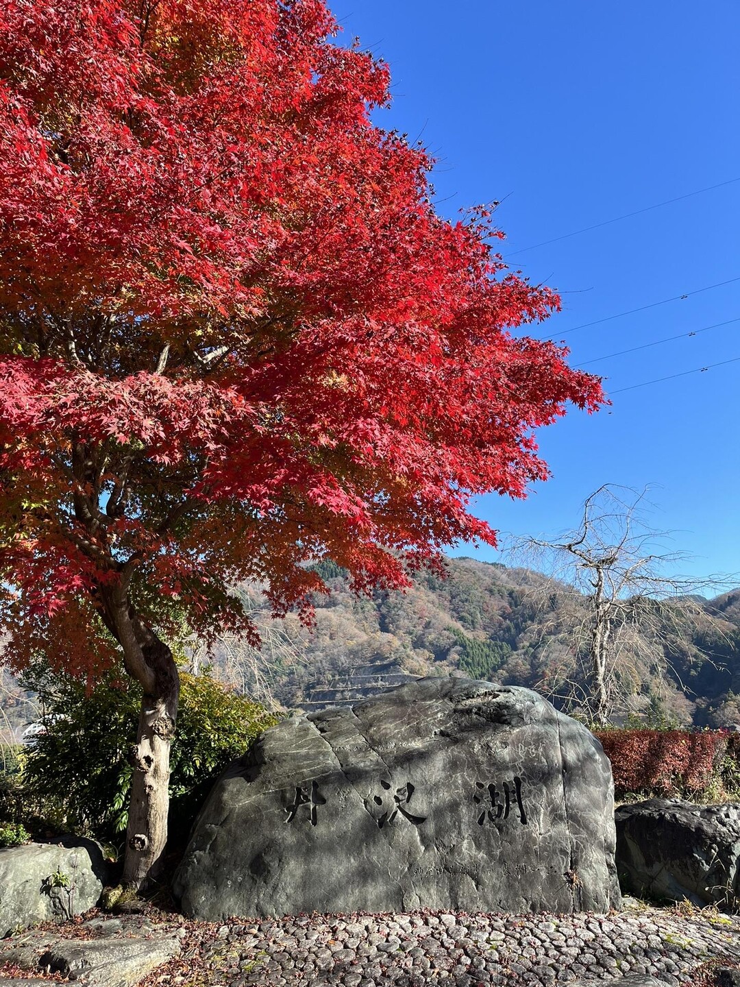 丹沢湖ランニング / 山と飯 U.L.HIKEさんのランニングの活動データ | YAMAP / ヤマップ