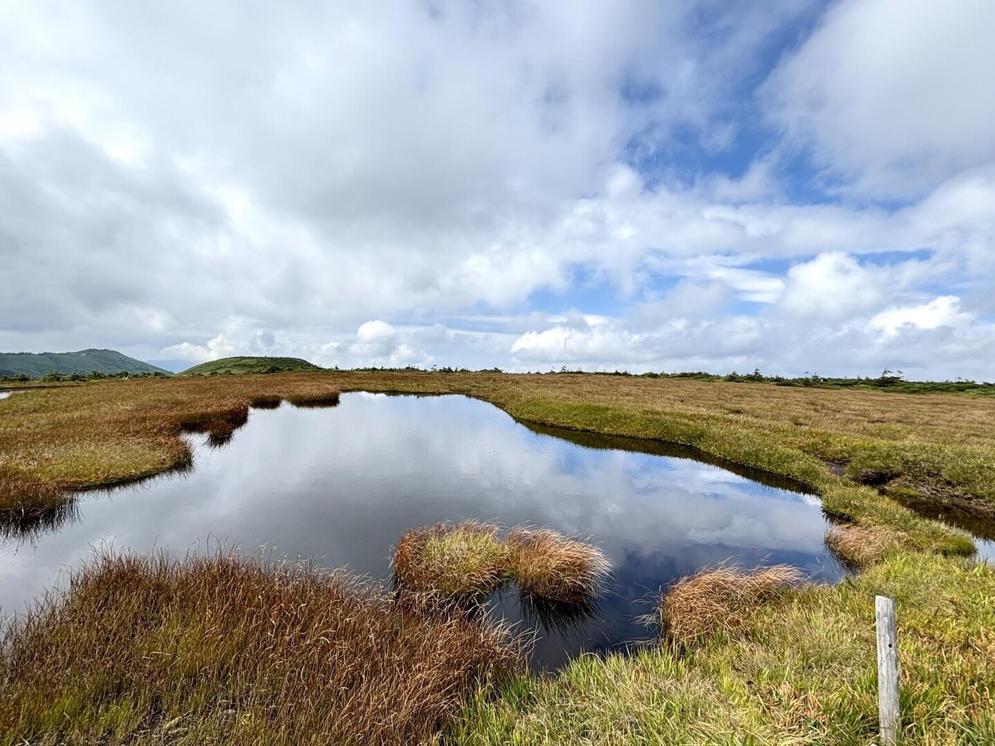 平ヶ岳 / zumiさんの平ヶ岳・台倉山・池ノ岳の活動データ | YAMAP / ヤマップ