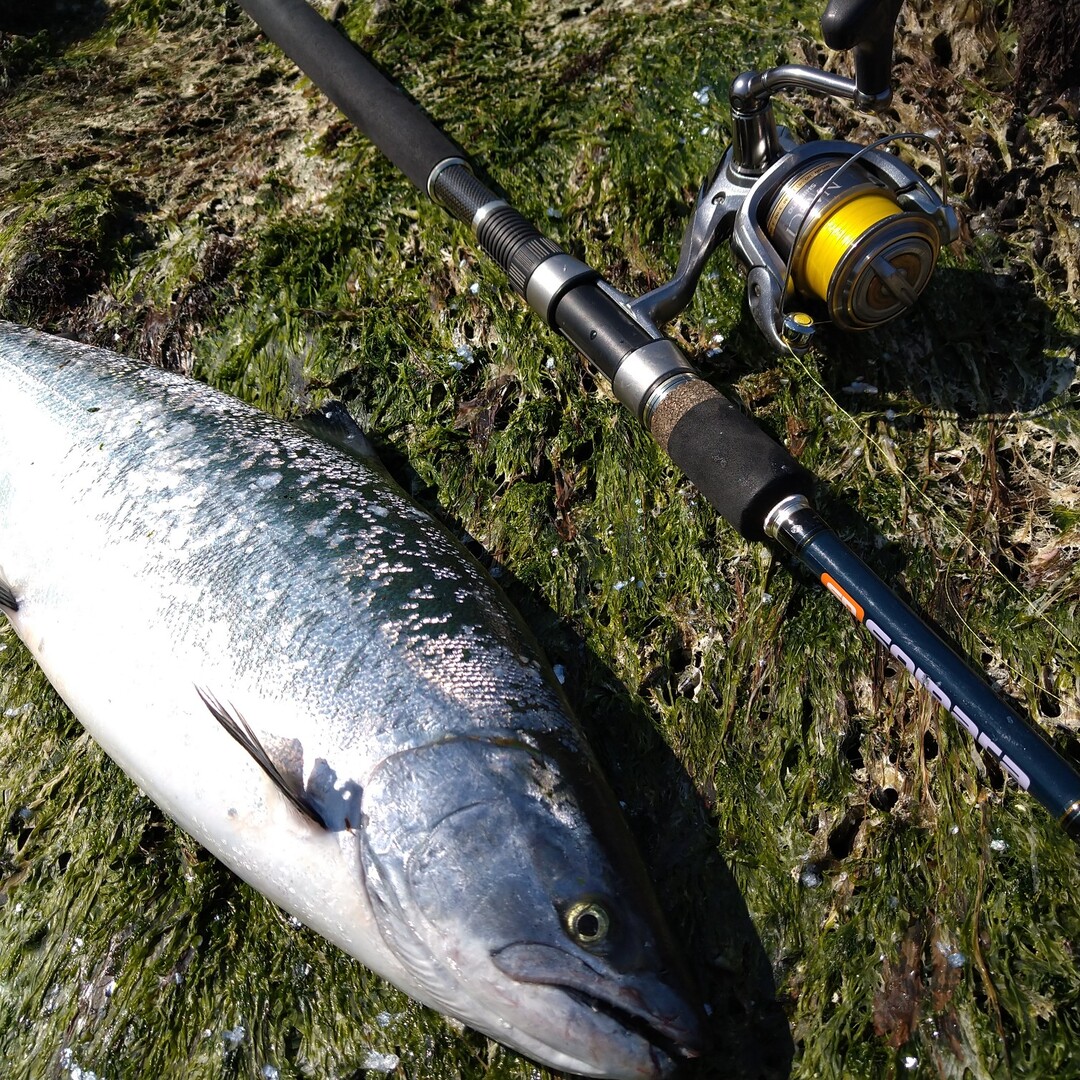 釣り日誌① / 2053mさんのウォーキングの活動データ | YAMAP / ヤマップ