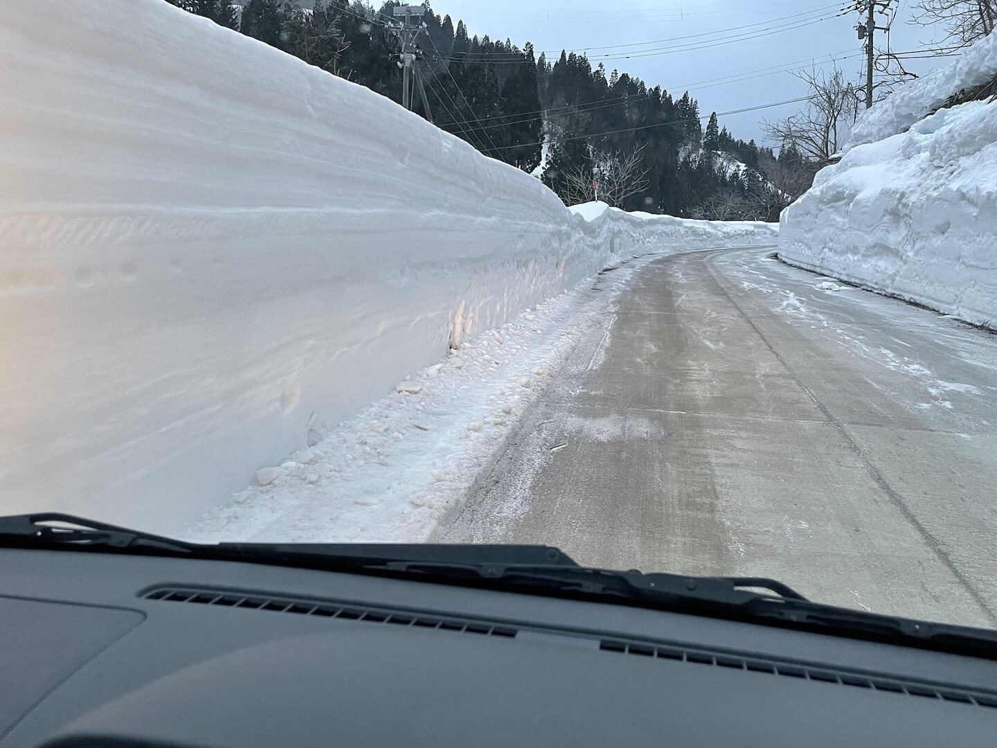 黒部じゃないよ笑 2m超えとります😨 ... / JOG太郎さんのモーメント | YAMAP / ヤマップ