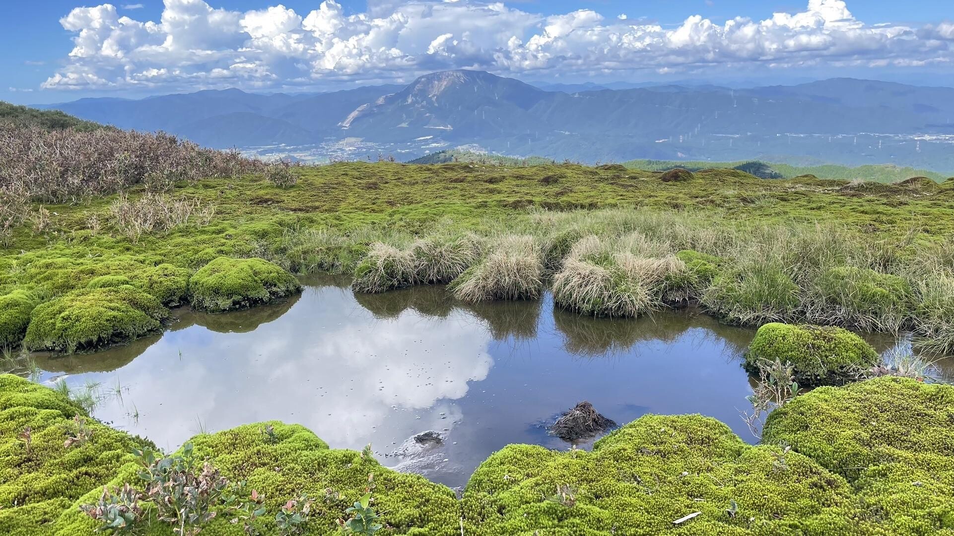 鹿さんいっぱい霊仙山♡周回コース / IKUKOさんの霊仙山の活動データ | YAMAP / ヤマップ