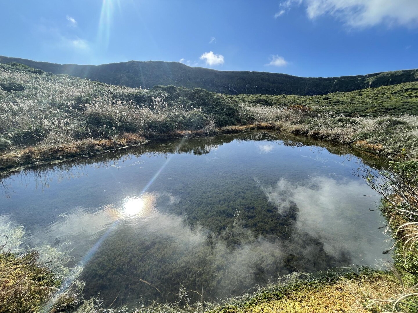 八丈富士・中央火口丘の池巡り@西山(八丈富士) / スーさんさんの八丈島・東山（三原山）・西山（八丈富士）の活動データ | YAMAP / ヤマップ