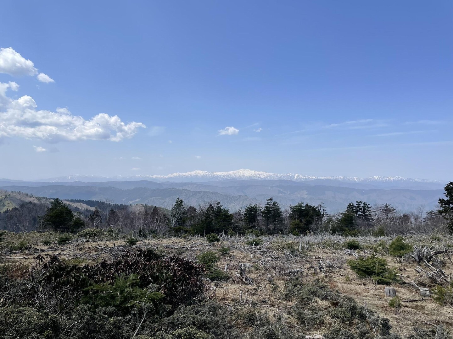 位山 / Yuminaさんの川上岳・位山・船山（飛騨富士）の活動データ | YAMAP / ヤマップ