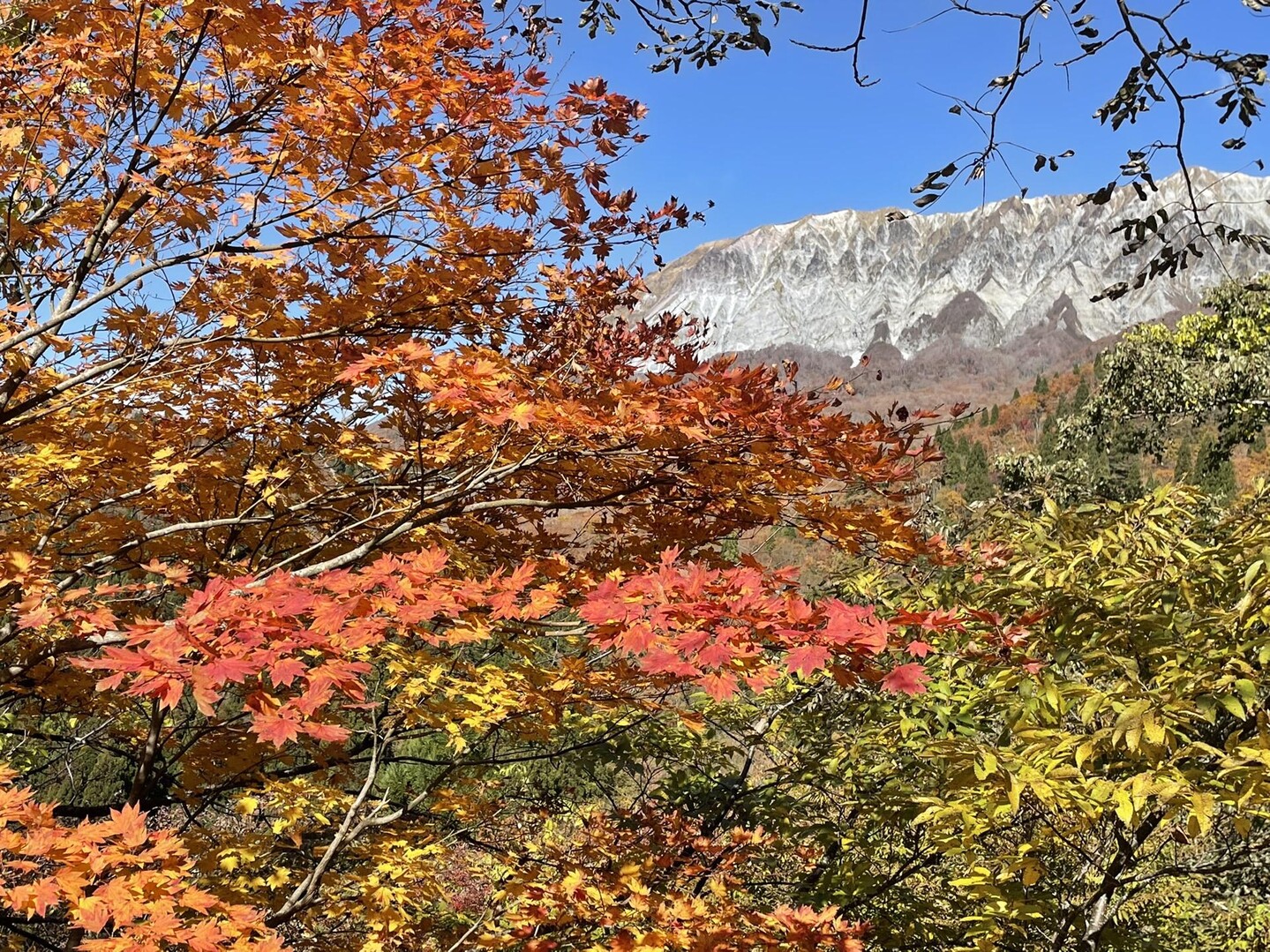 伯耆大山 キリンポール目前撤退からの三の沢・槍ヶ峰 / cefiroさんの大山・甲ヶ山・野田ヶ山の活動日記 | YAMAP / ヤマップ
