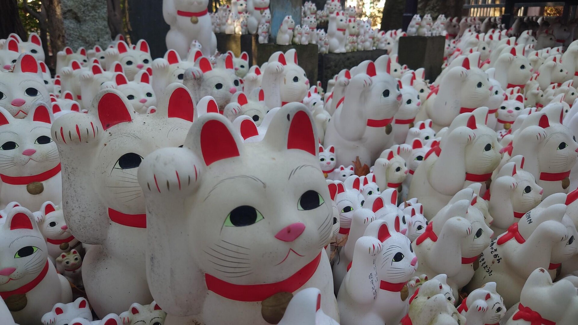 世田谷区最高地点と巡礼＆イルミラン / SAKAさんの東京都23区 西エリアの活動データ | YAMAP / ヤマップ