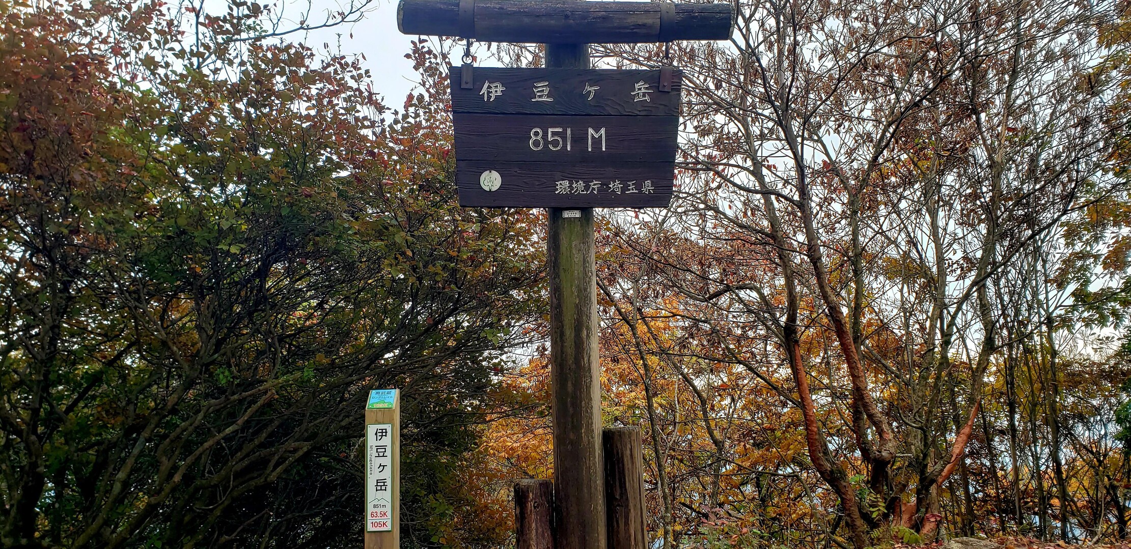 小高山・大蔵山・五輪山・伊豆ヶ岳 / Shuu-jiさんの武甲山・伊豆ヶ岳・小持山の活動データ | YAMAP / ヤマップ