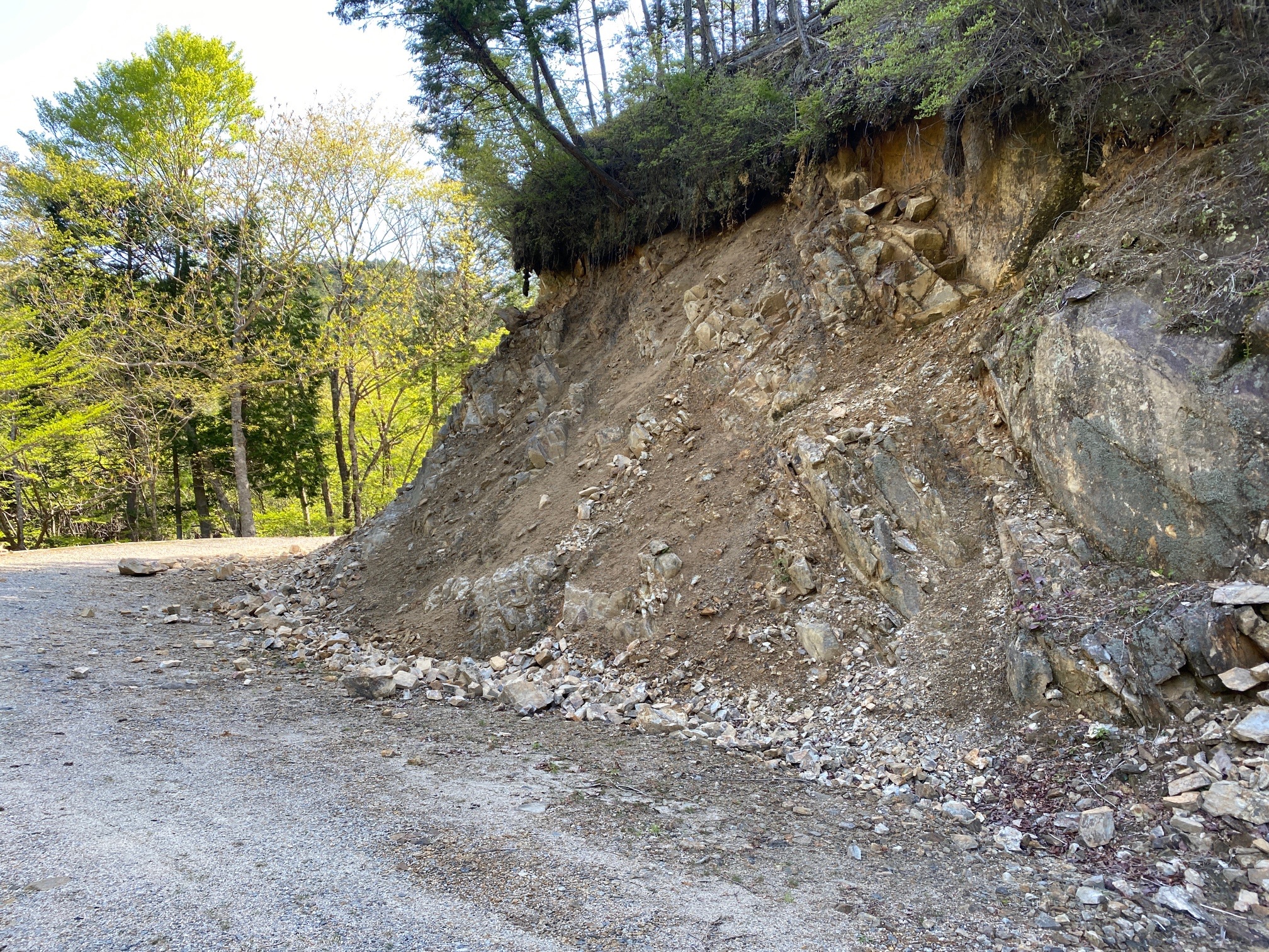 平日山歩部⛰MKさんの投稿したフィールドメモ | YAMAP / ヤマップ