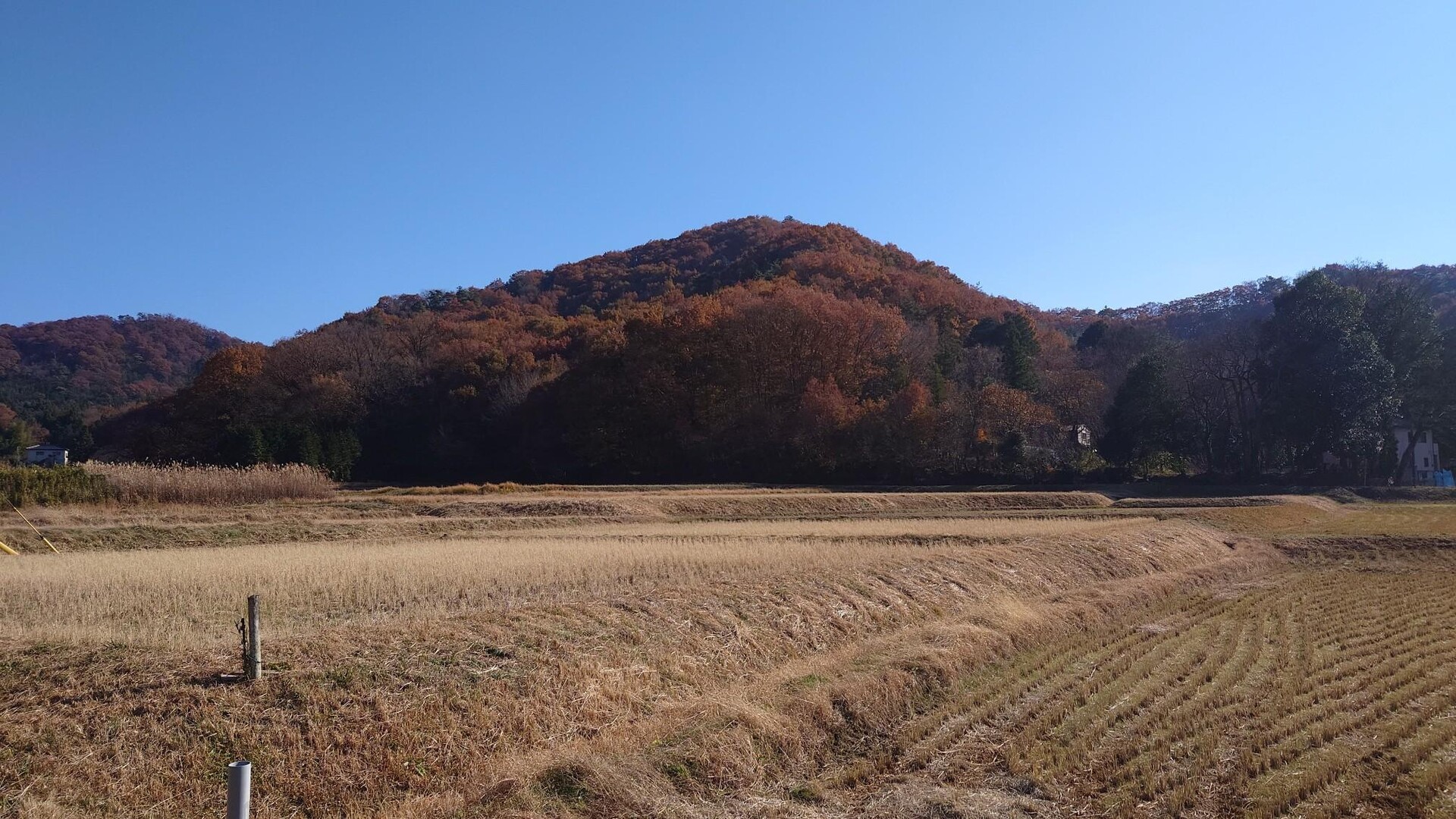雷電山・鳩ノ峰・馬坂山・樺崎城山 / tutuさんの鳩ノ峰・山王山・寺久保山の活動データ | YAMAP / ヤマップ