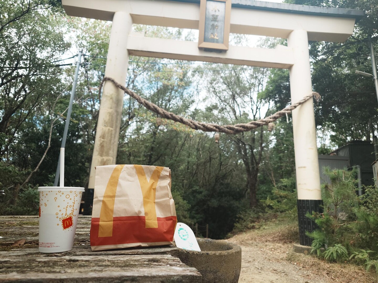 🍟OGASAYAMacDonald🍔 / yagarinさんの小笠山の活動データ | YAMAP / ヤマップ