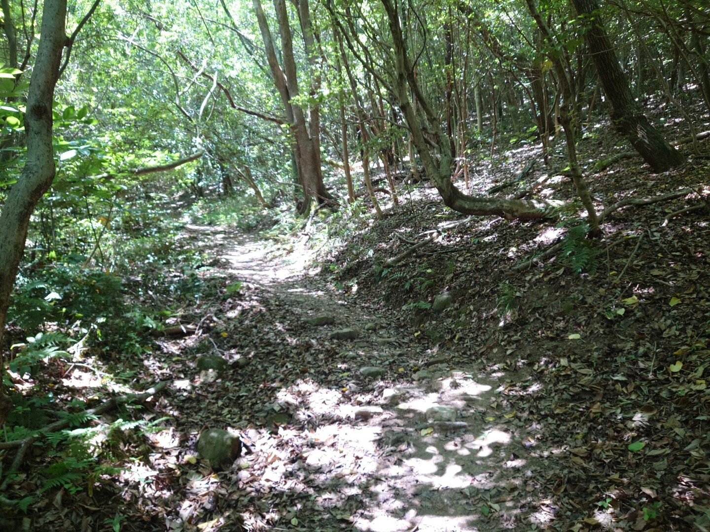 操山・笠井山-2022-09-11 / RY-ZEROさんの操山・笠井山の活動データ | YAMAP / ヤマップ